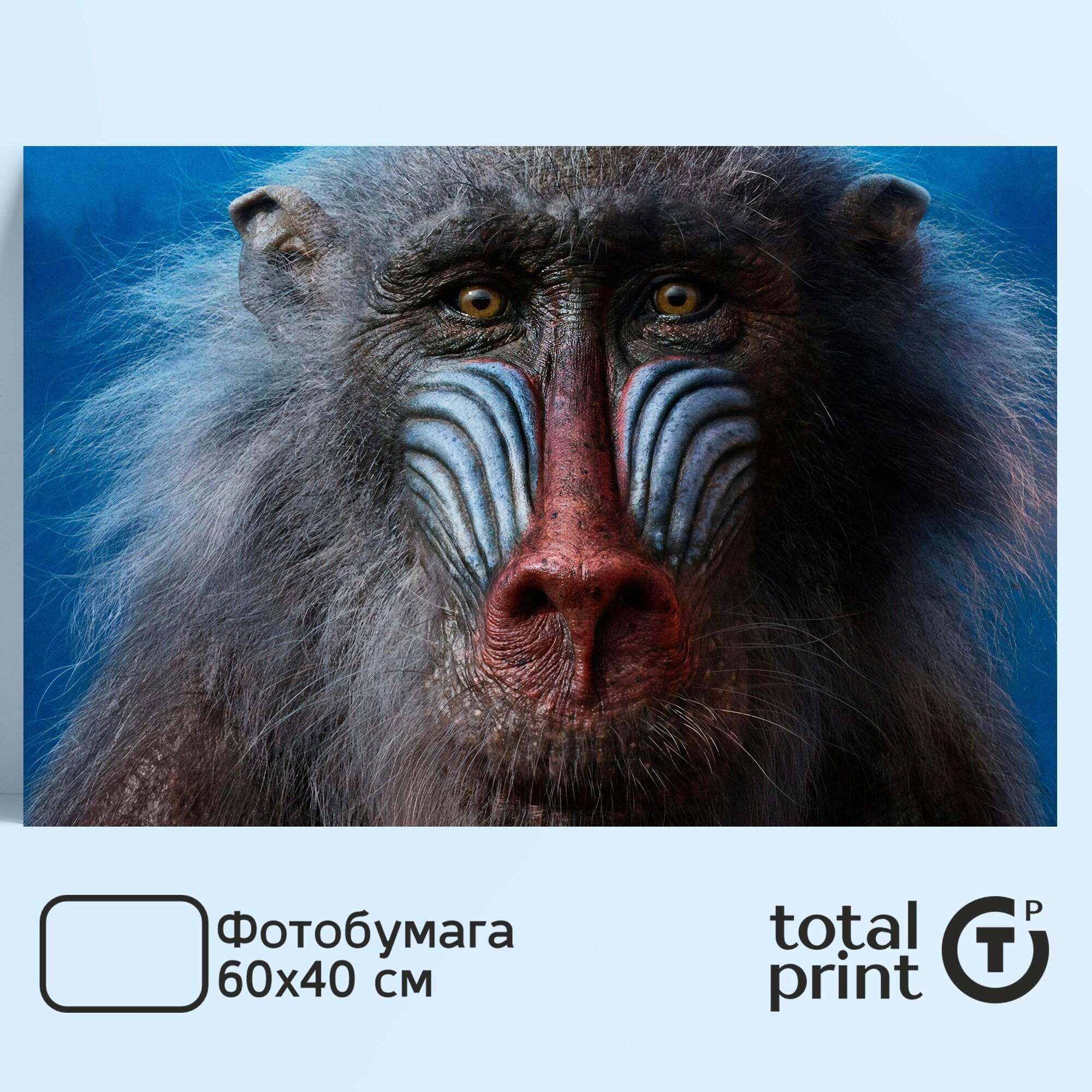 TotalPrint Постер для интерьера, Король Лев, 60х40см.