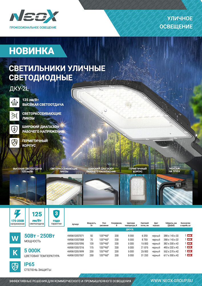 Светильник уличный линзованный светодиодный ДКУ-2L 70Вт 230В 5000К 8750Лм 125лм/Вт 42-48мм IP65 NEOX