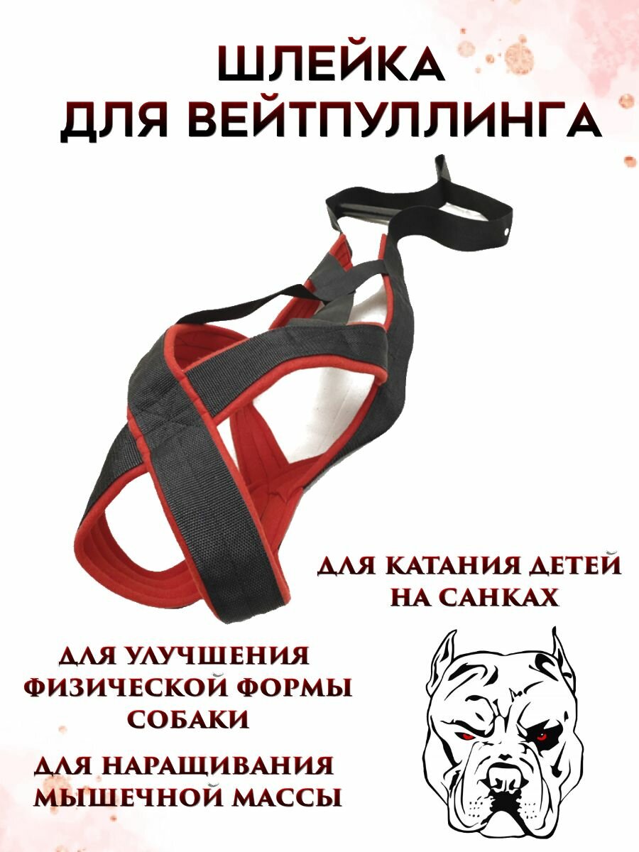 Шлейка для вейтпуллинга