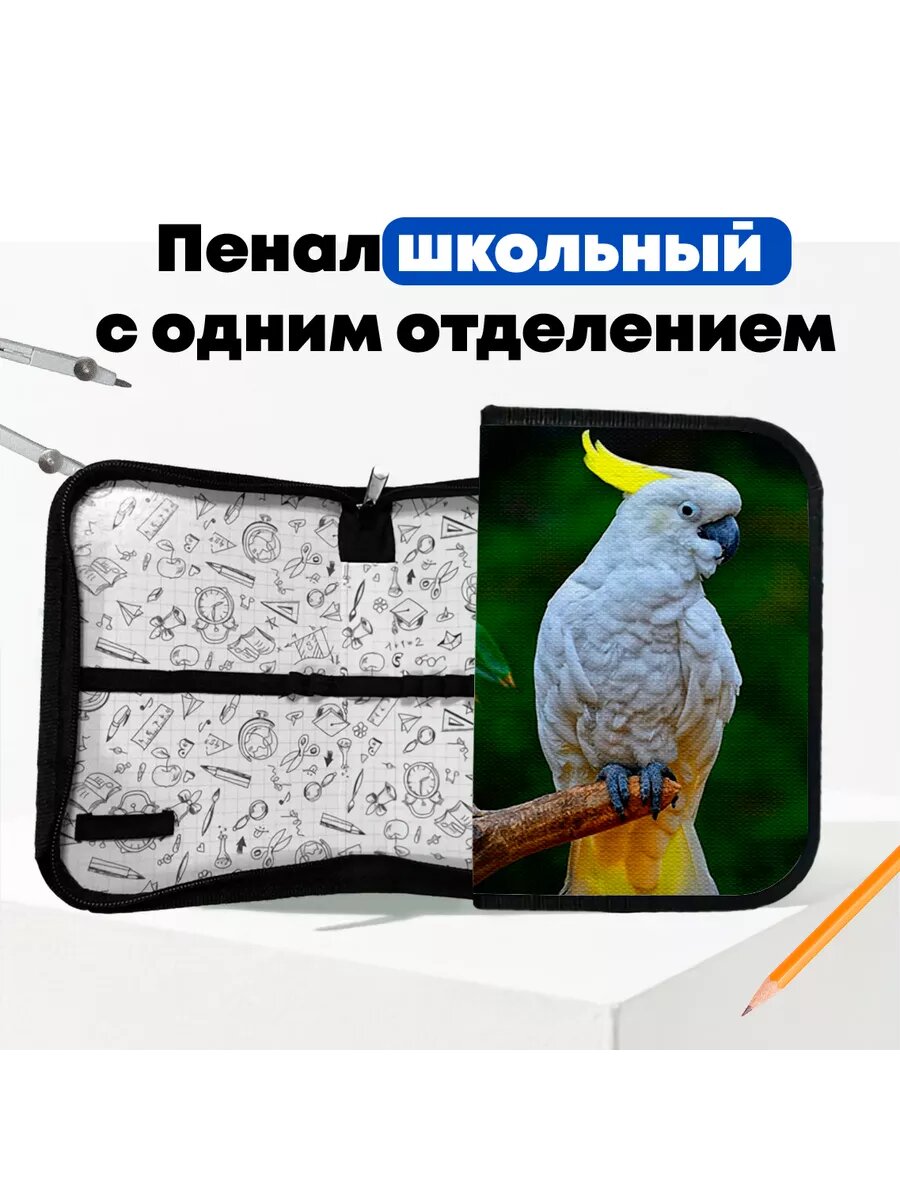 Школьный пенал Попугай