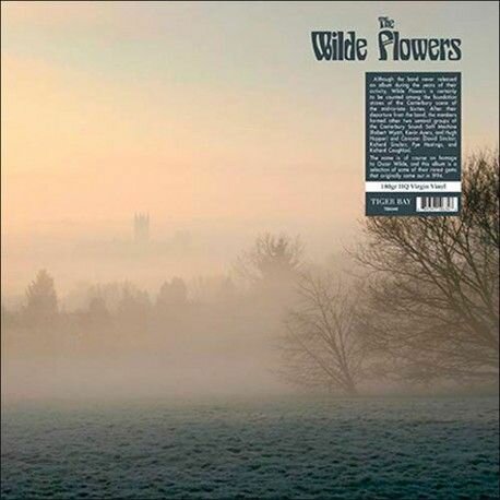 Wilde Flowers - Wilde Flowers - новая виниловая пластинка