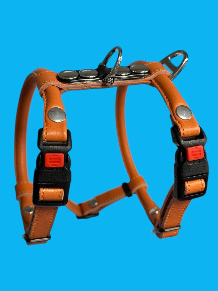 Шлейка Dogbond круглая для шпица из кожи