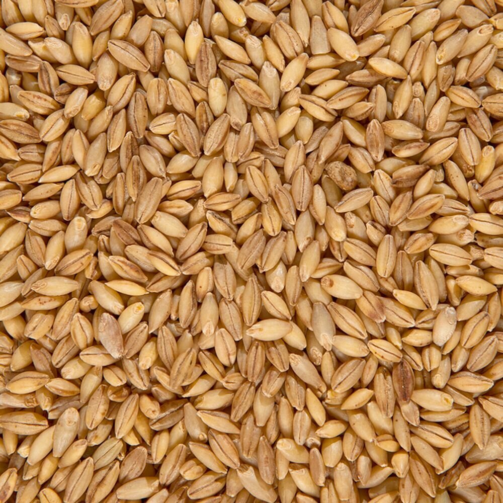 Ячмень в оболочке (для настоев, отваров и солода), 400 г