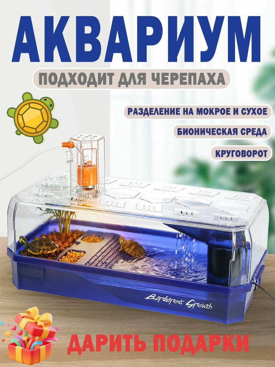 Террариум
