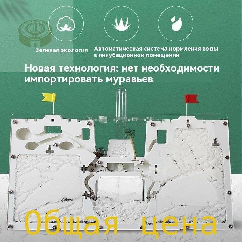 Муравьиная ферма