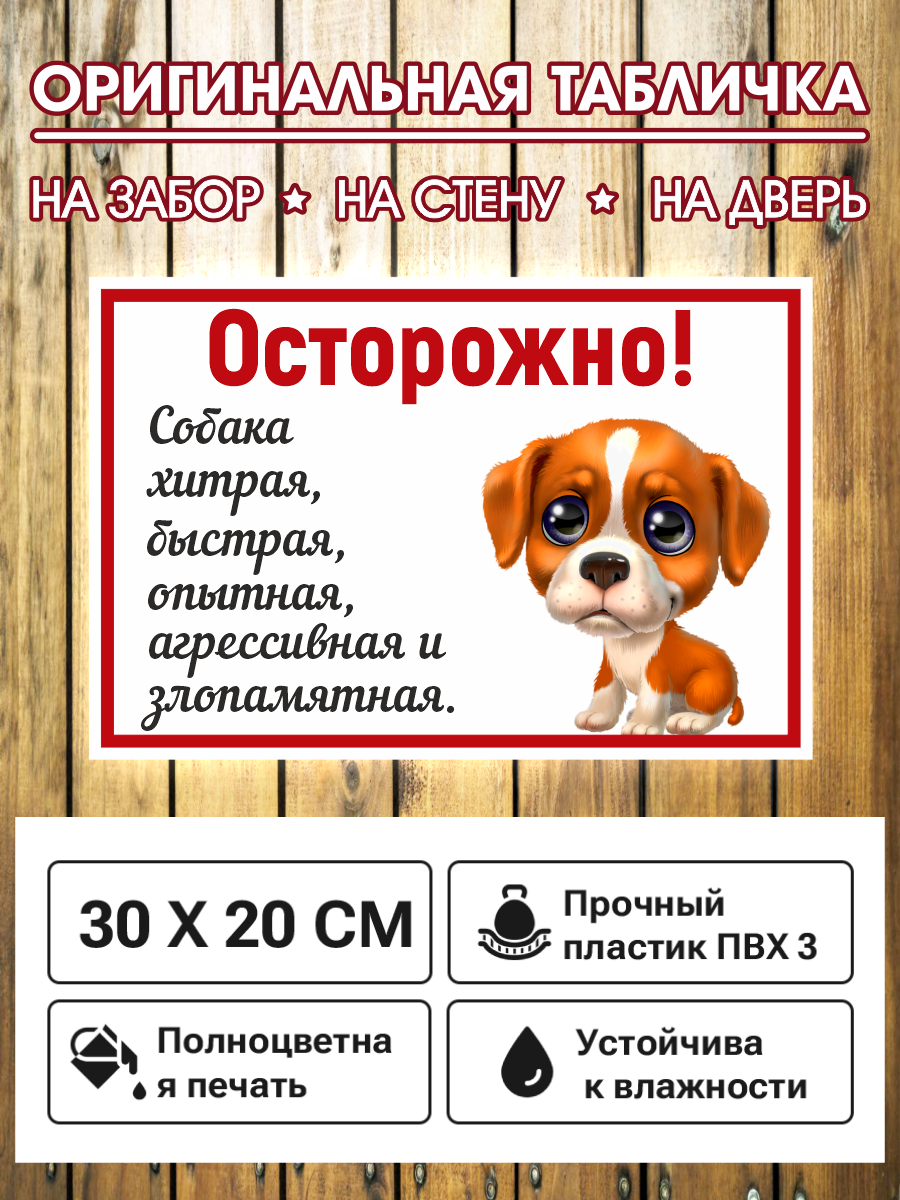 Информационная табличка "Осторожно! Злая собака!", пластик, 30х20 см.