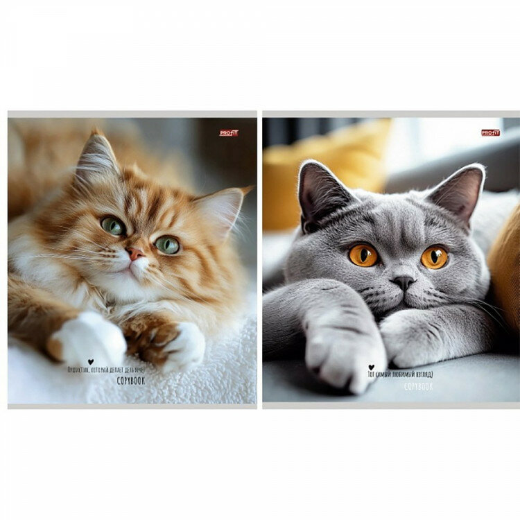 Тетрадь А5 клетка 48 листов на гребне (Profit) Милые коты мелованная обложка ассорти арт.48-8615. Количество в наборе 10 шт.