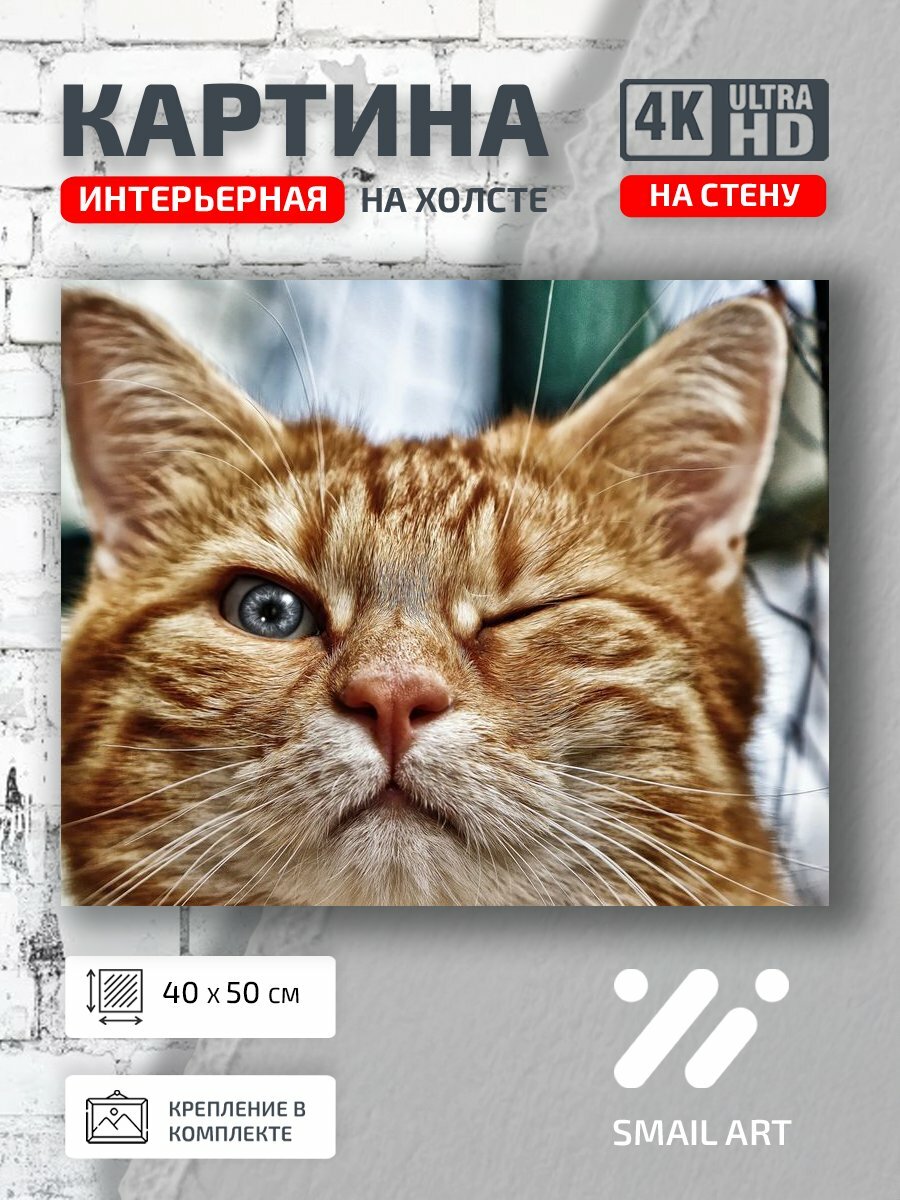 Картина на холсте интерьерная 40 на 50 на стену Рыжий Animal для детской animal style декор