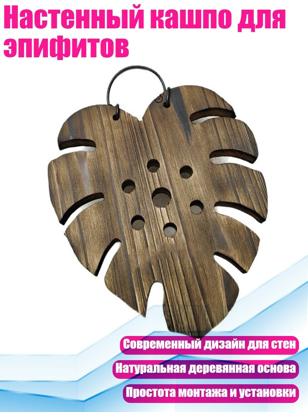 Настенный кашпо для эпифитов