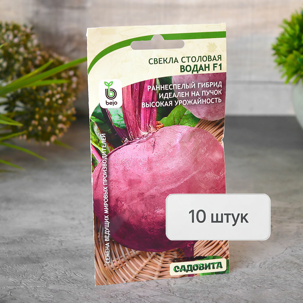 Семена свеклы Водан F1, раннеспелый гибрид, набор 10 шт, высокая урожайность
