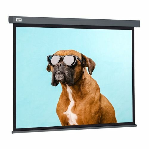 Экран Cactus Wallscreen CS-PSW-149X265-SG, 265.7х149.4 см, 16:9, настенно-потолочный серый