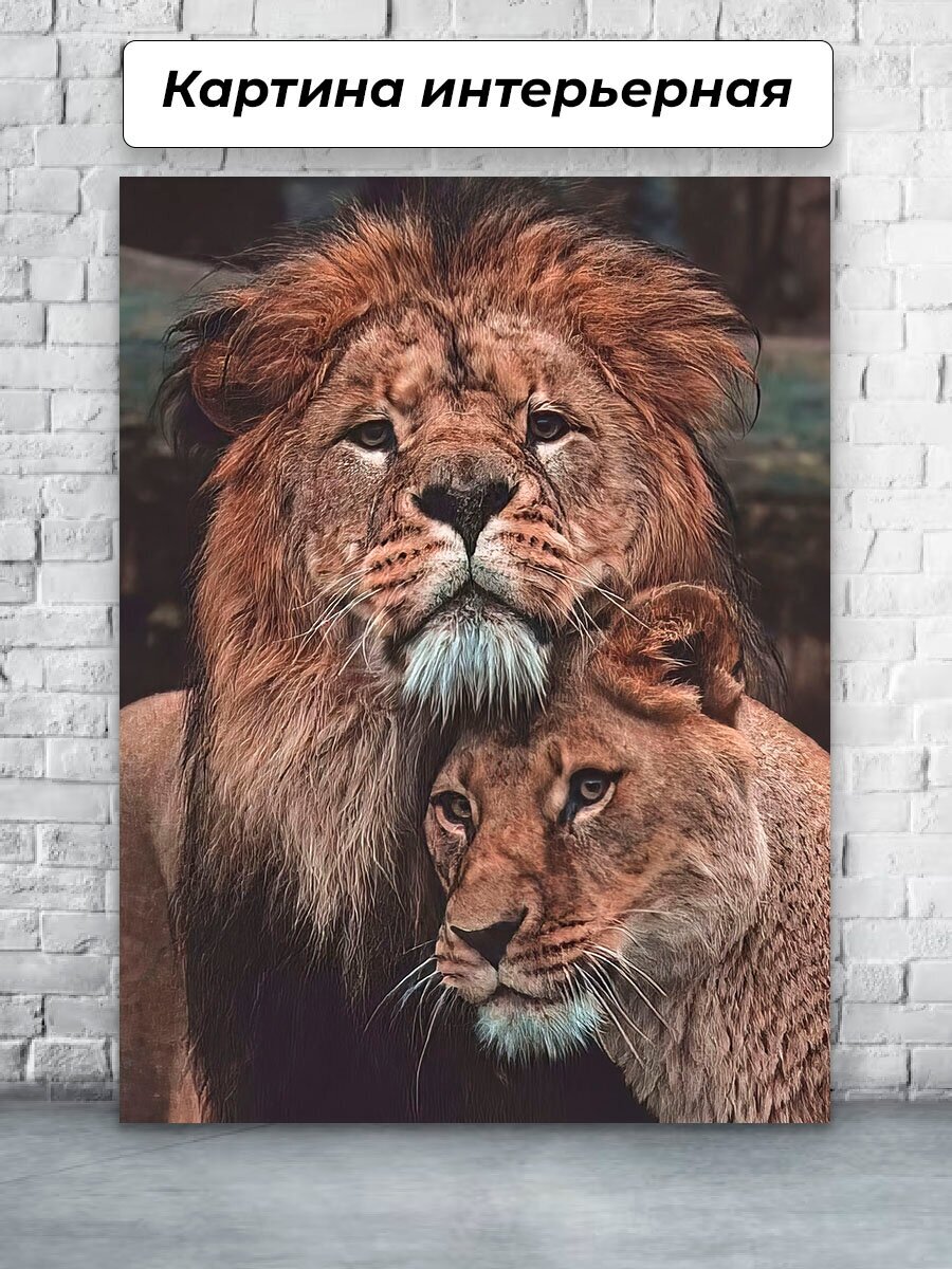 Картина интерьерная 30х40 Лев и Львица Животные