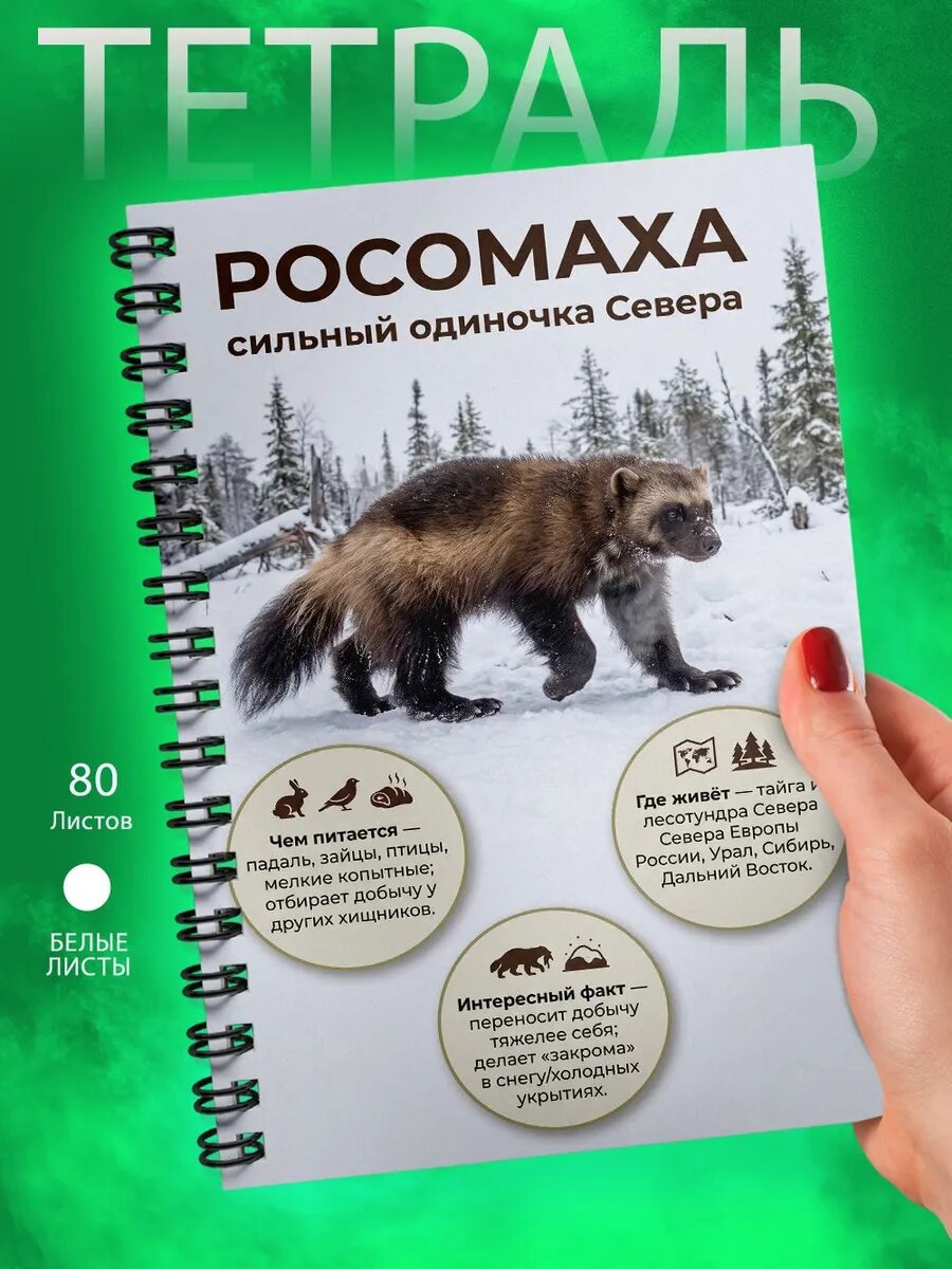 Тетрадь А5 - Животные России - Росомаха