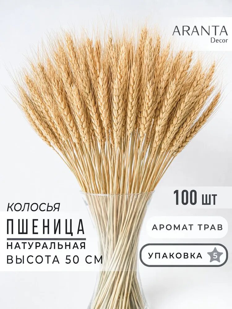 Сухоцветы для декора Натуральные Колосья Пшеницы 100 шт