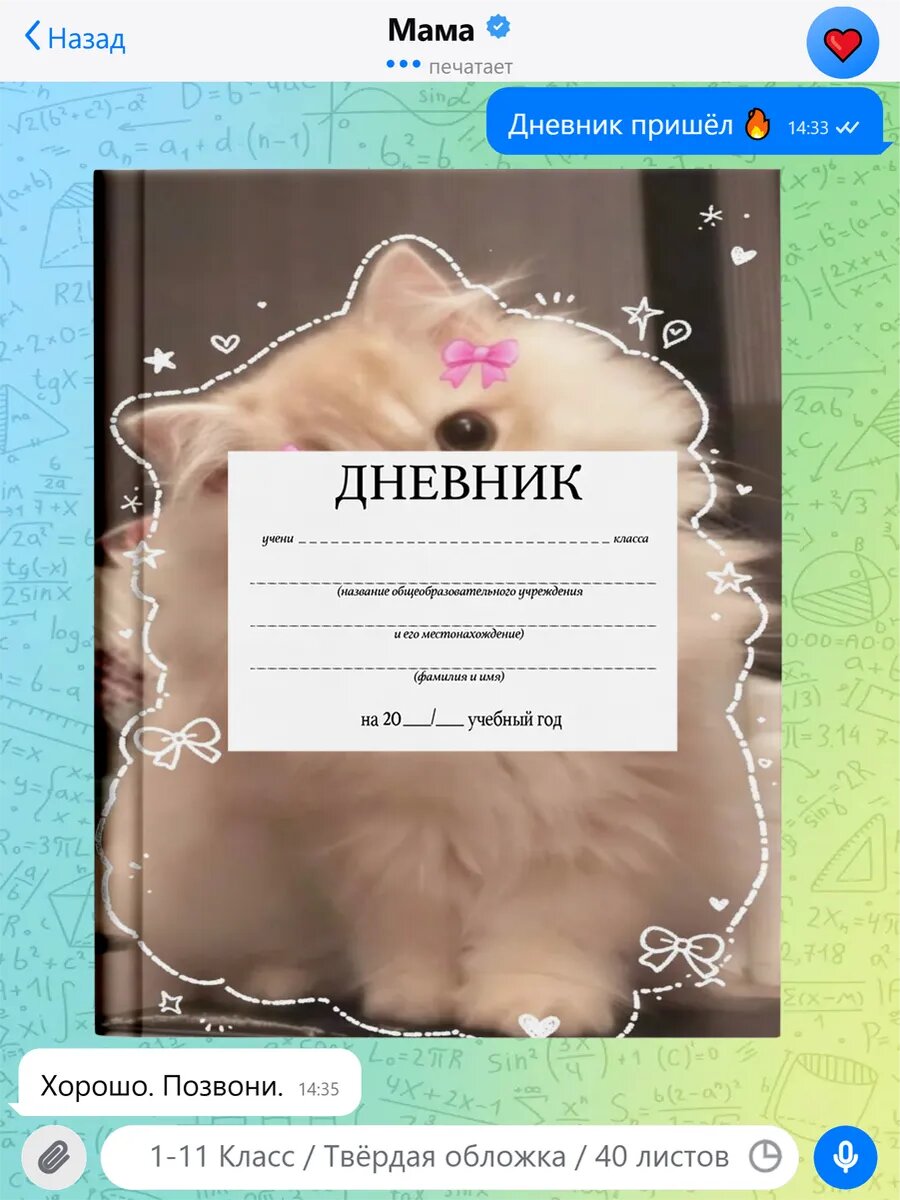 Школьный дневник с принтом y2k pinterest