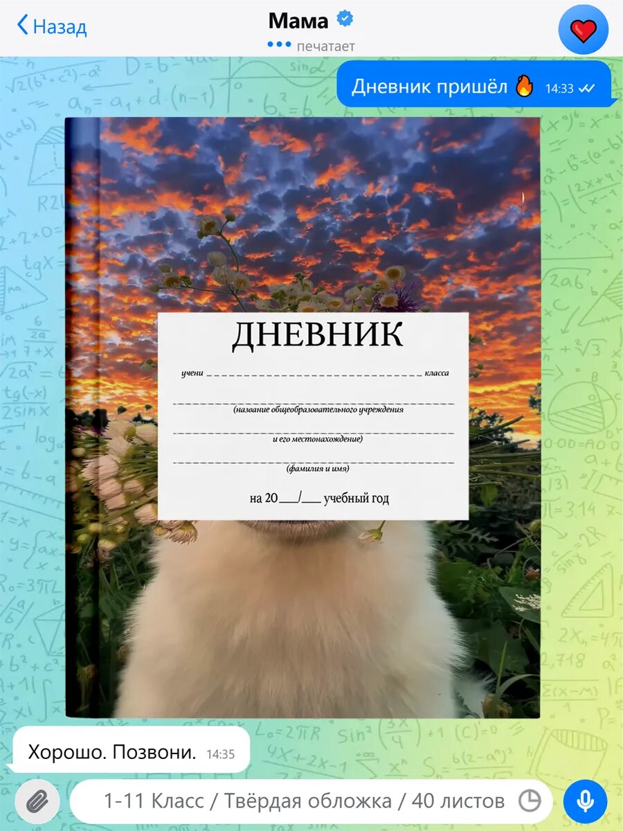 Школьный дневник с принтом y2k pinterest