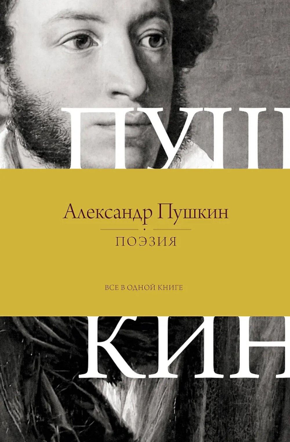 Поэзия. Все в одной книге. Пушкин А. С.