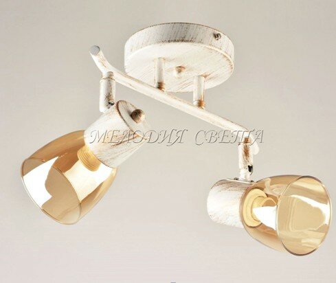 Спот AURA S0054-2 WT