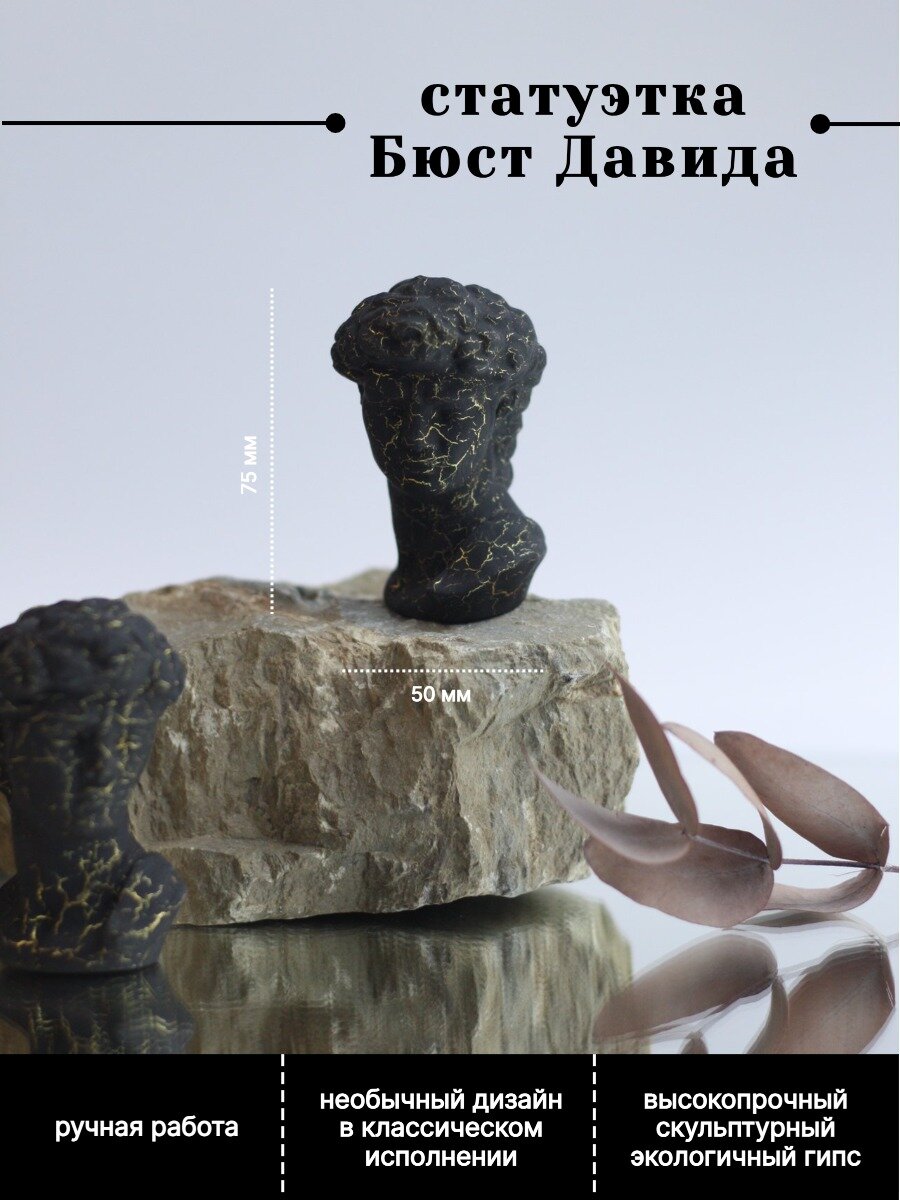 Статуэтка интерьерная "Бюст Давида"