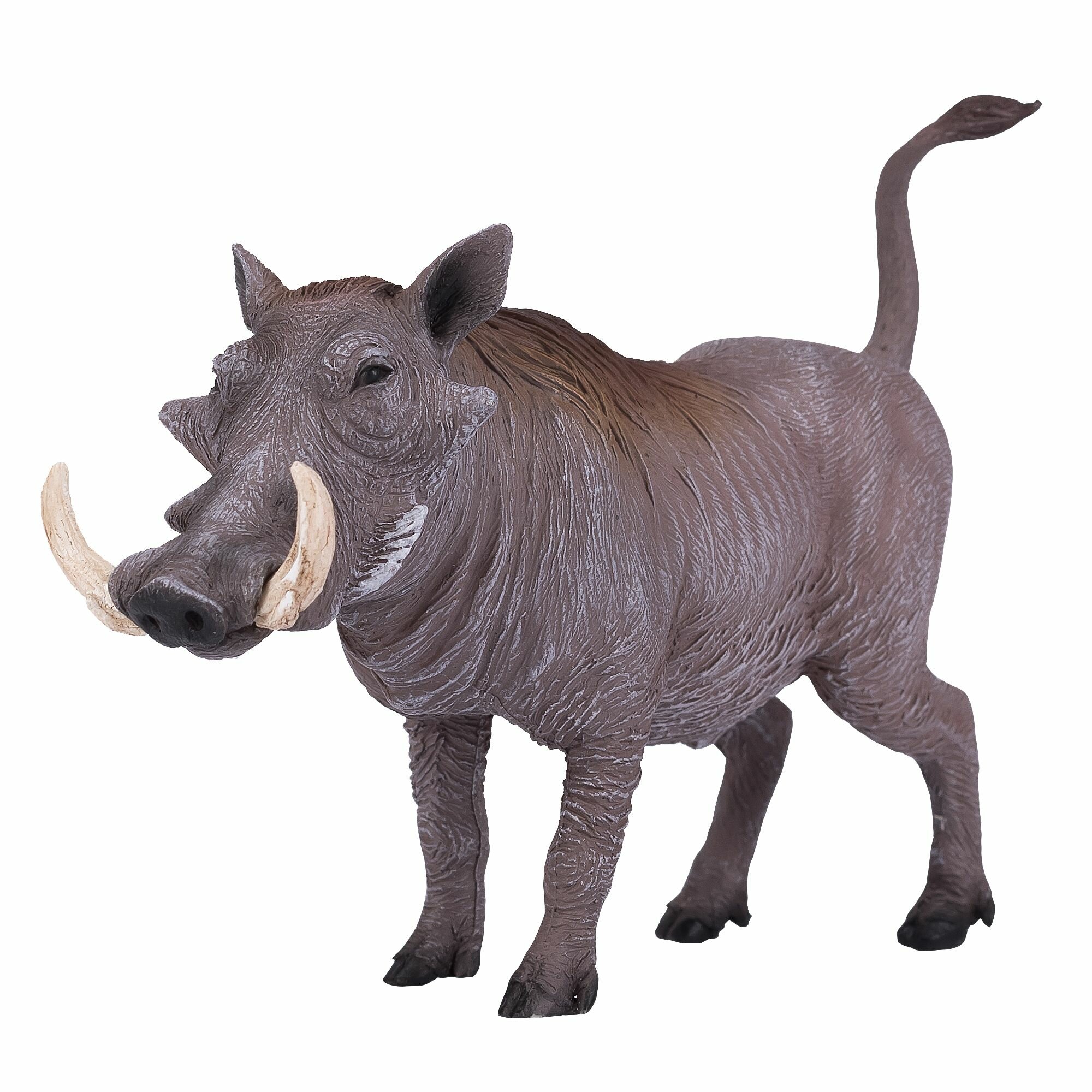 Фигурка-игрушка KONIK WILDLIFE Бородавочник AMW2009, коллекционная фигурка