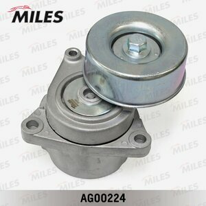 Натяжитель ремня приводного NISSAN PRIMERA/TEANA/X-TRAIL 2.0/2.5 01-