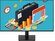 Classic Solution VA2491SEF (24", IPS, 1920x1080, 75 Гц, Freesync)- Мониторы