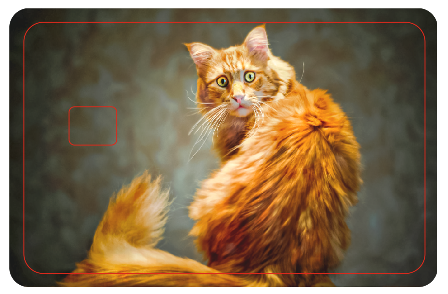 Наклейка на банковскую карту, стикер на карту, Мейн-кун