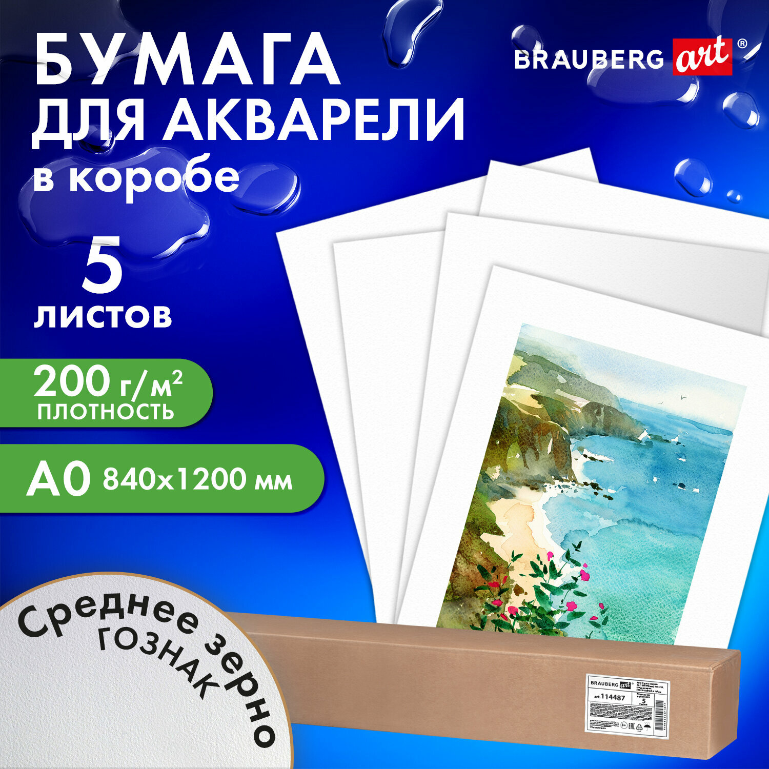 Brauberg Бумага для акварели А0 1200х840 мм 5 листов, среднее зерно, 200 г гознак Art Classic 114487