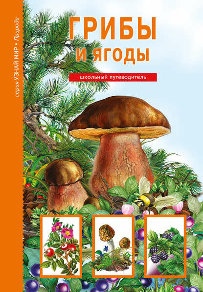 Грибы и ягоды [Цифровая книга]