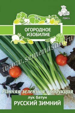Лук батун Русский зимний 1гр. (Огород. изоб. Поиск)