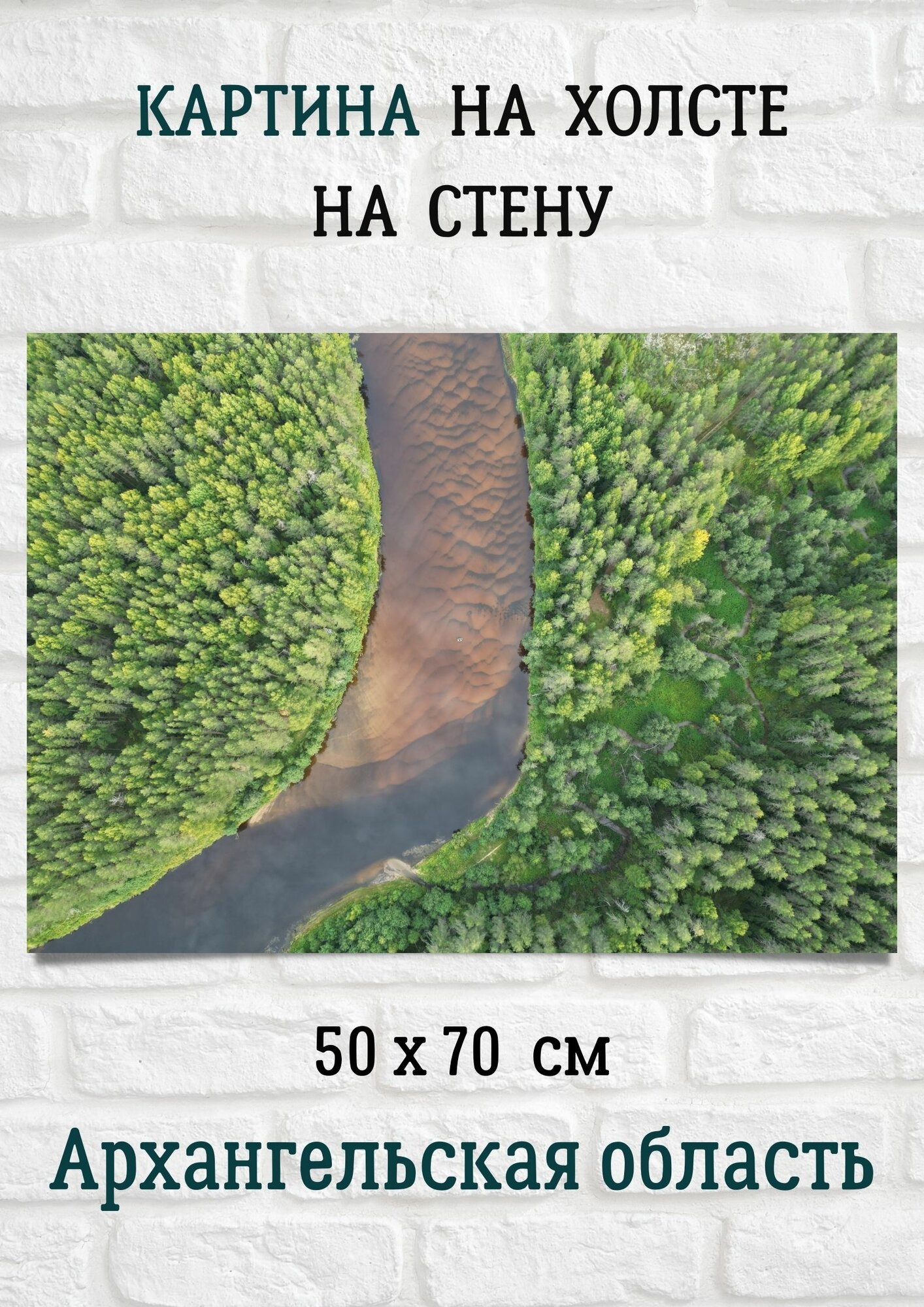 Картина на холсте "Архангельская область, леса и поля" 70х50