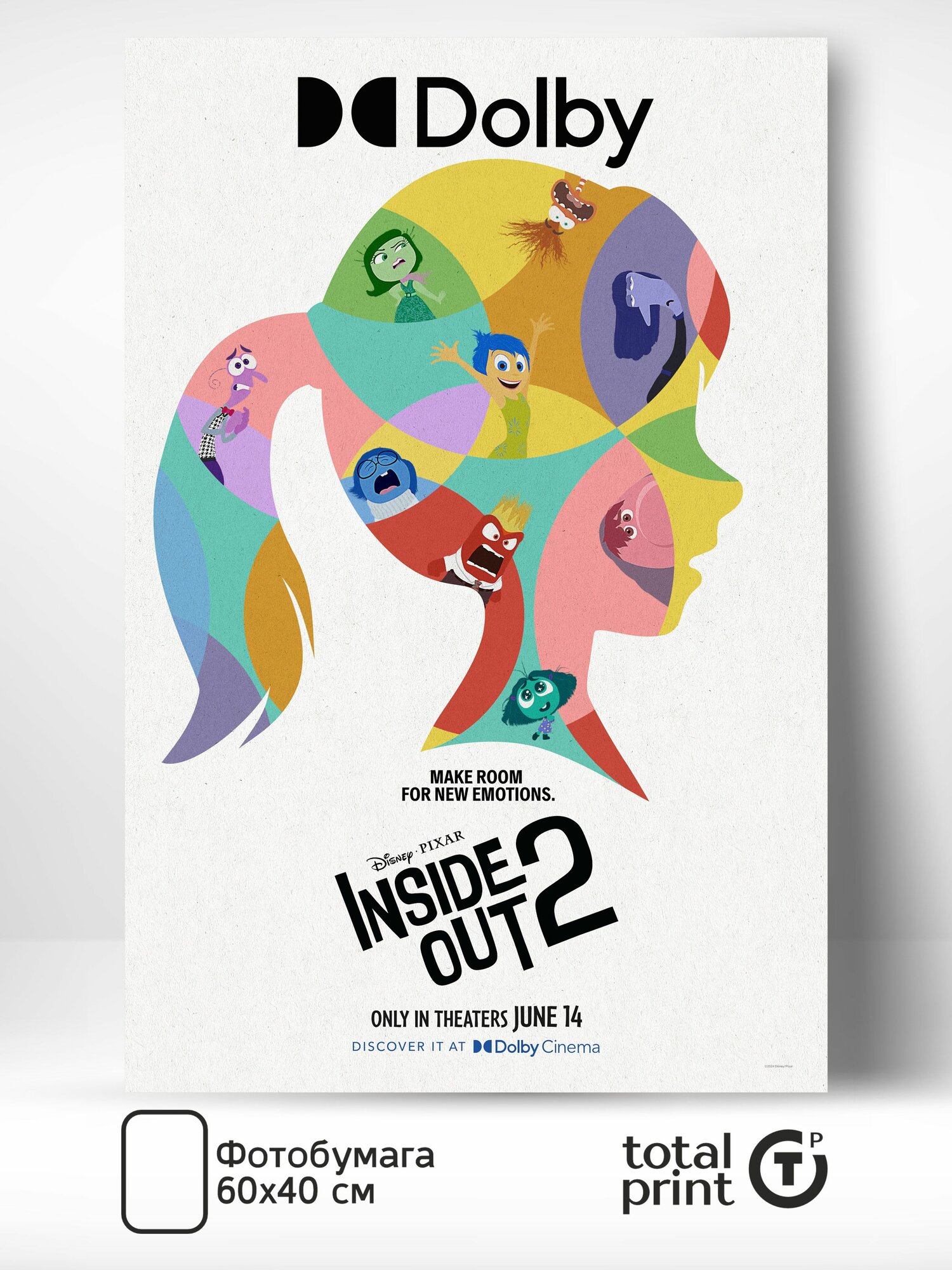 TotalPrint Постер для интерьера по фильму, 60х40см, Головоломка