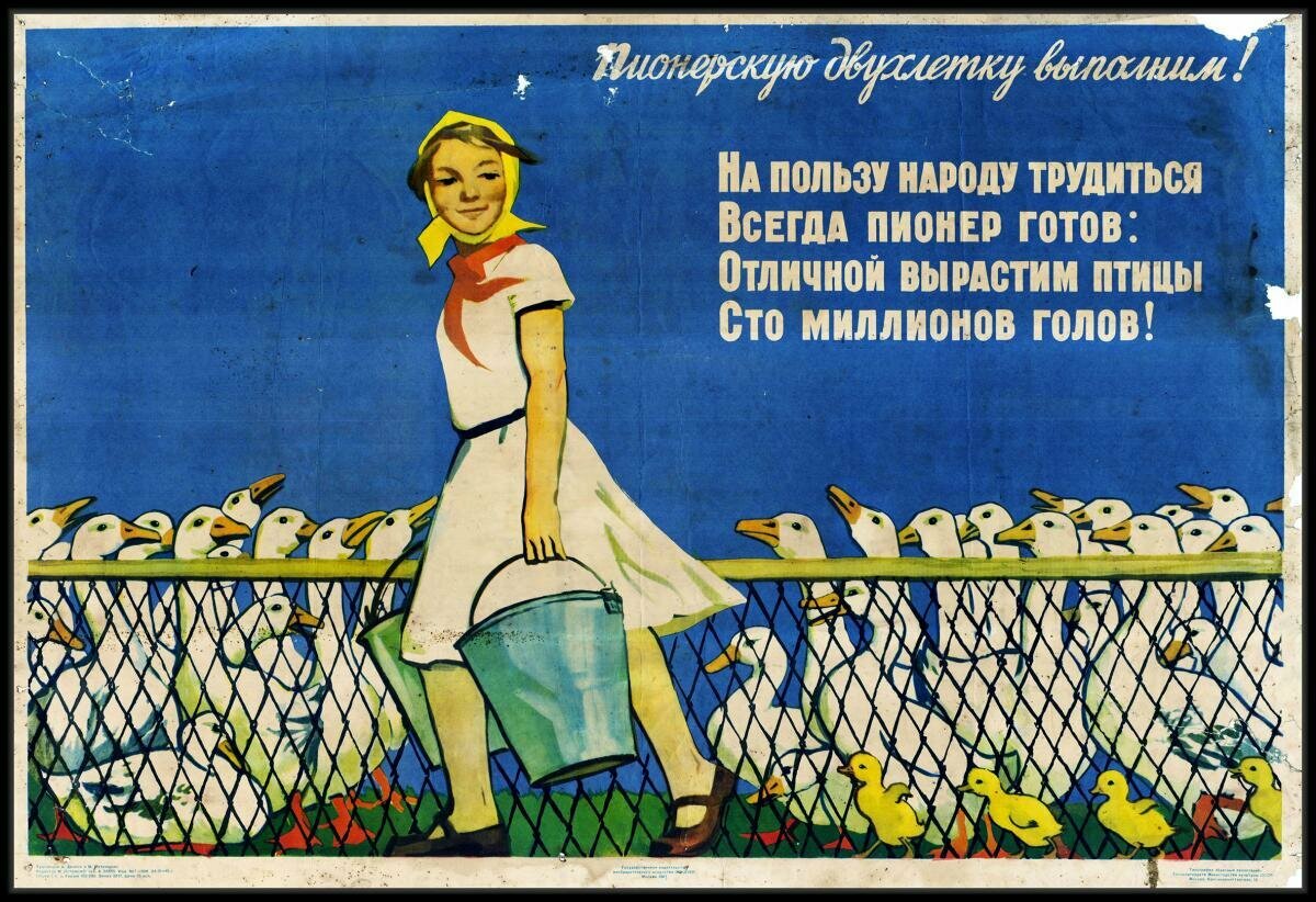 Советский плакат птицеводство; Антиквариат 1961 г; Декор настенный винтажный 85/58 см.