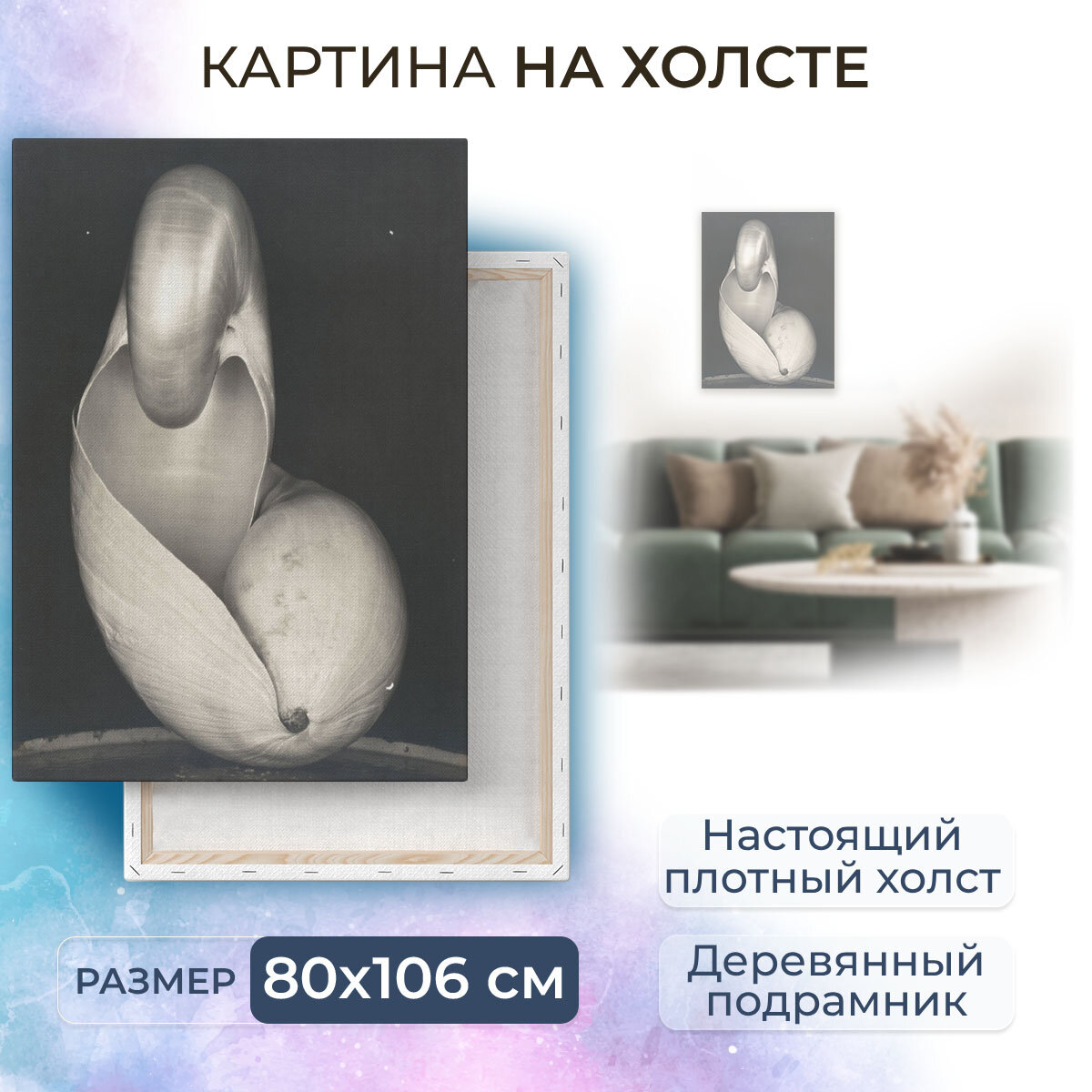 Картина на холсте, репродукция / Weston Edward - Shell / Эдвард Уэстон / Размер 80 x 106 см