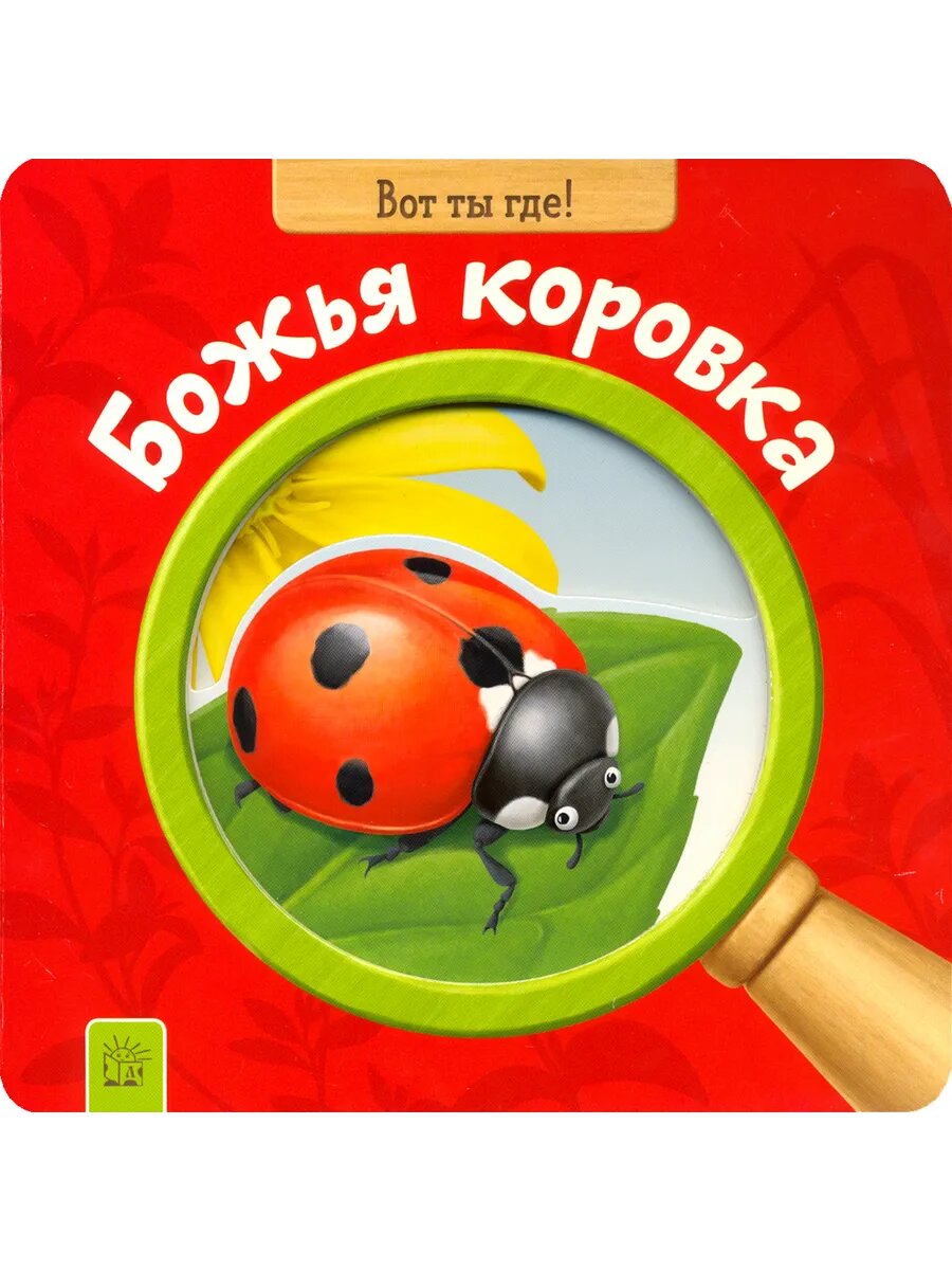 Вот ты где! Божья коровка