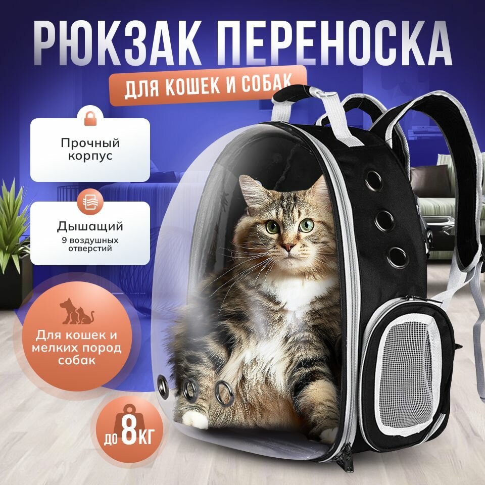 Рюкзак-переноска для кошек и собак