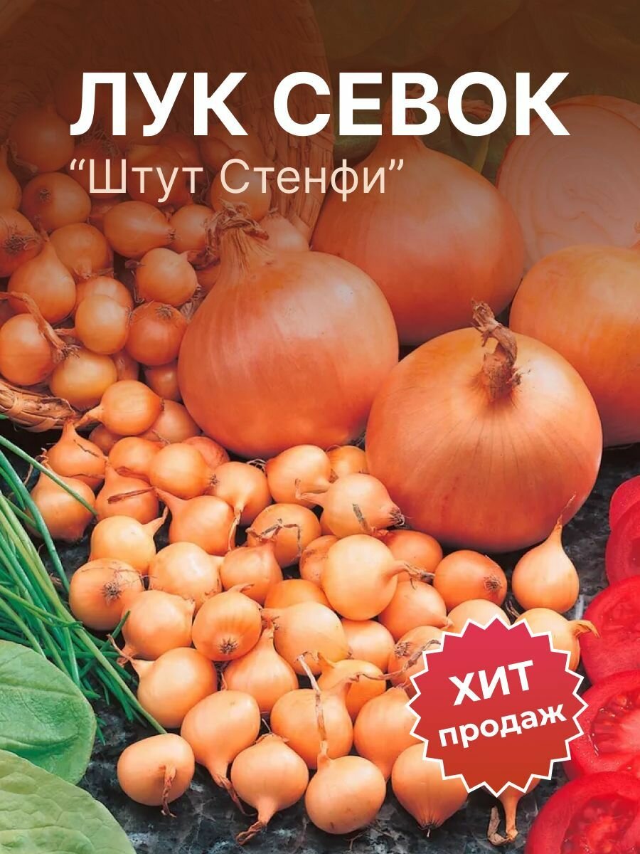 Лук севок на посадку Штут Стенфи 600гр