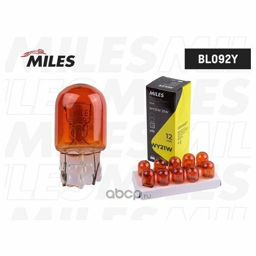 Лампа накаливания MILES BL092Y