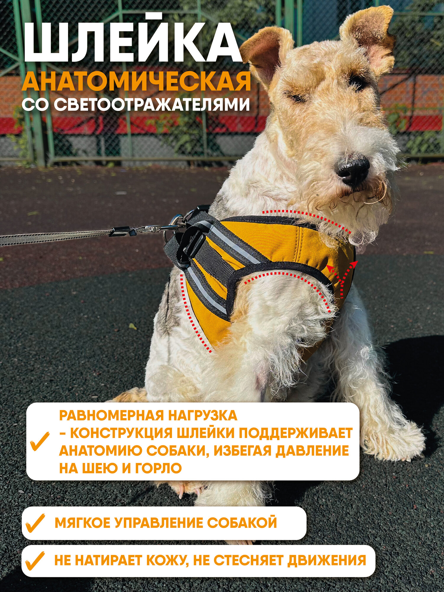 Шлейка для собак из софтшелла Монморанси, горчичный, размер М