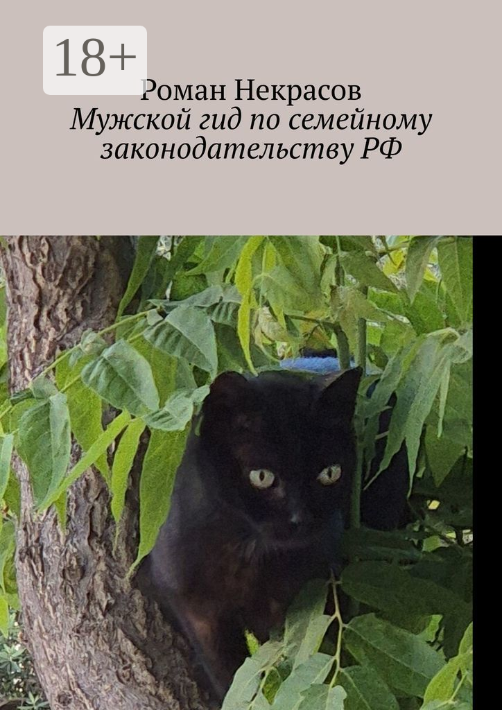 Мужской гид по семейному законодательству РФ