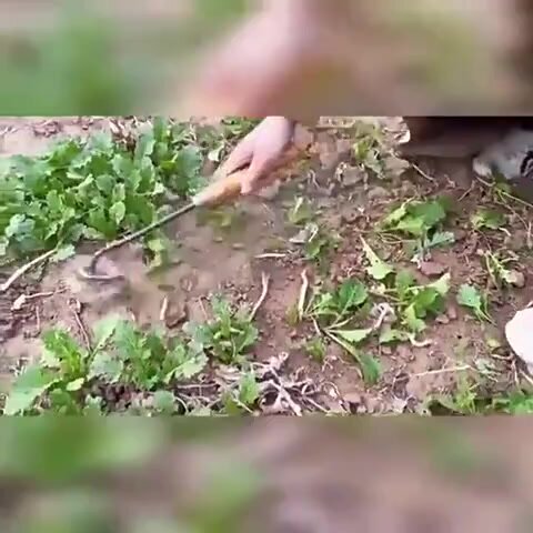 Тяпки и мотыги — фото 1