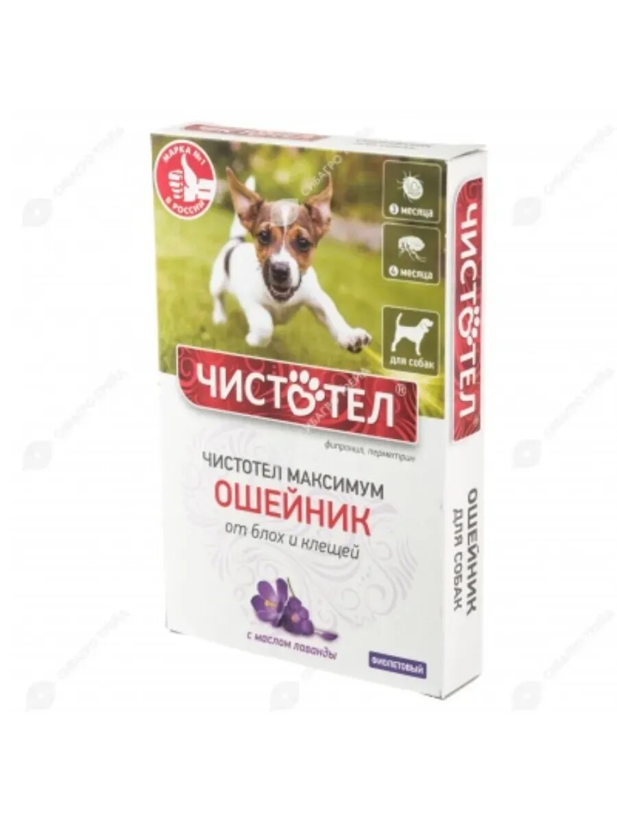 Чистотел максимум ошейник для собак, фиолетовый