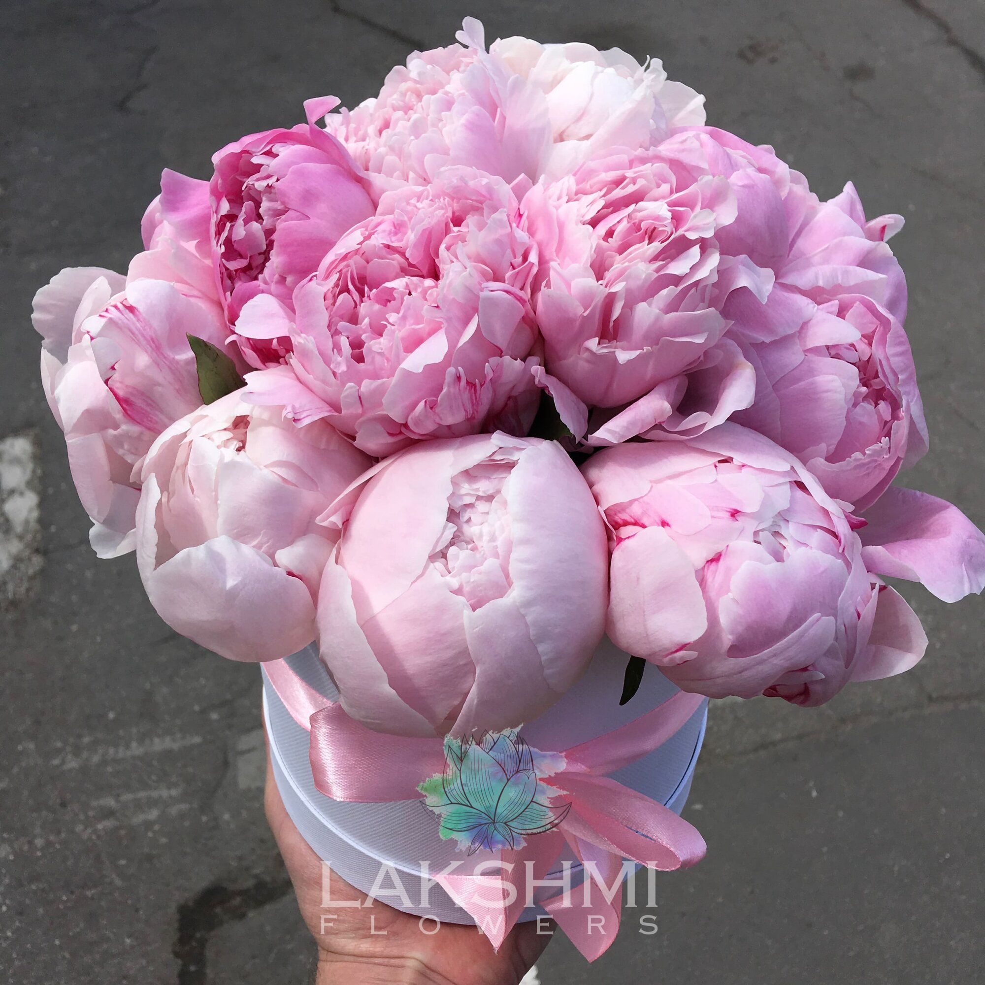 15 пионов / 15 розовых пионов сорта «Сара Бернар» в шляпной коробке