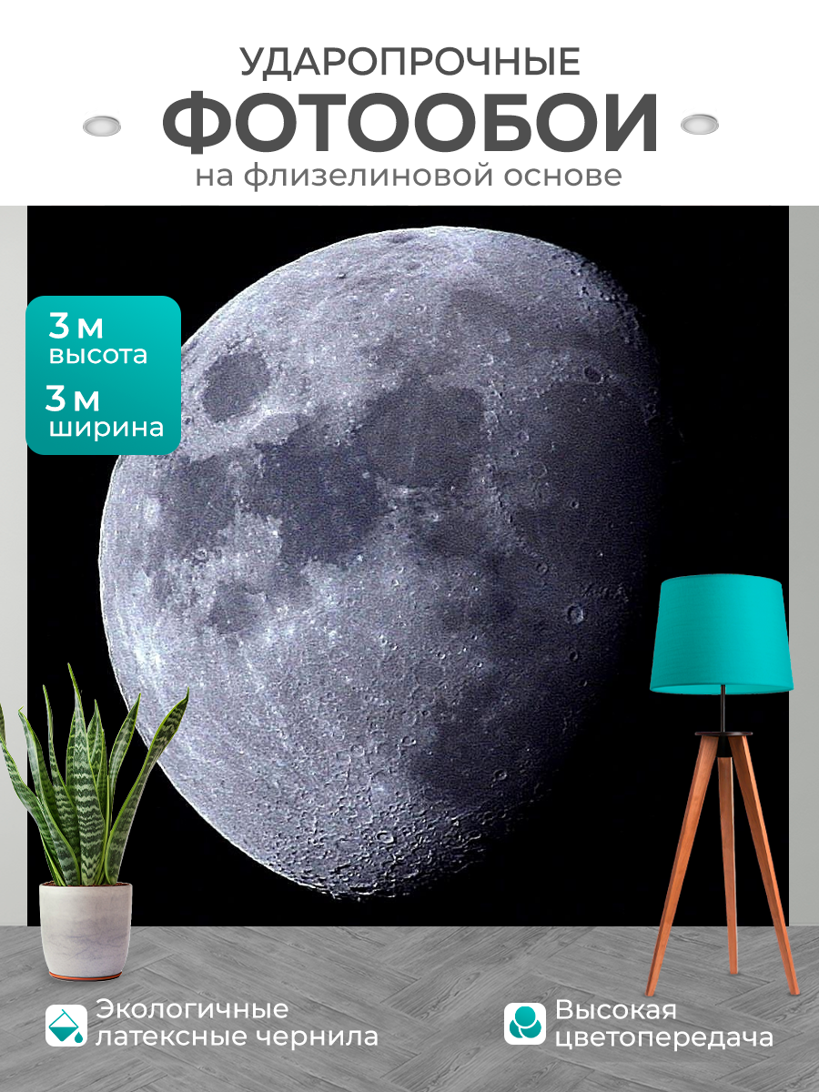 Фотообои моющиеся ударопрочные "Полная луна, ночь, луна" 300x300 см. флизелиновые на стену