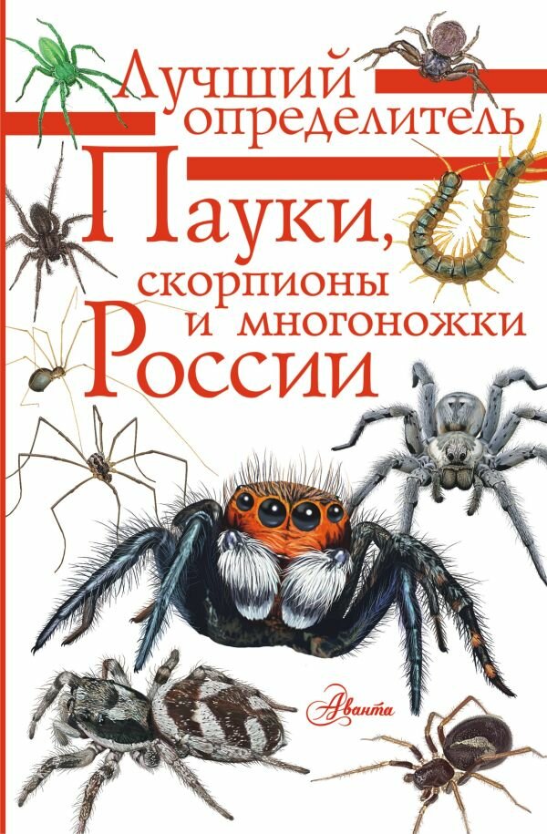 Пауки, скорпионы и многоножки России. Гомыранов Илья Алексеевич