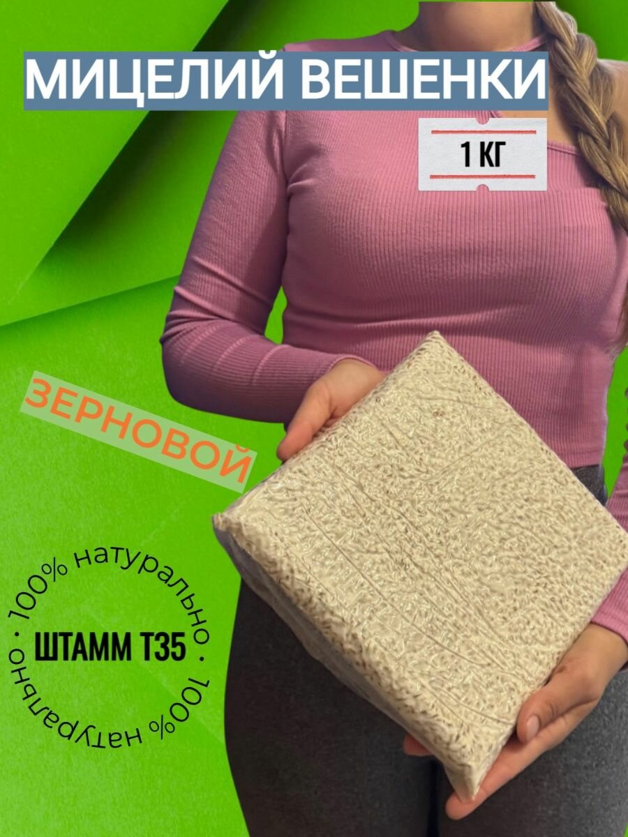 Мицелий вешенки зерновой - 1 кг. Мицелий 1 килограмм.