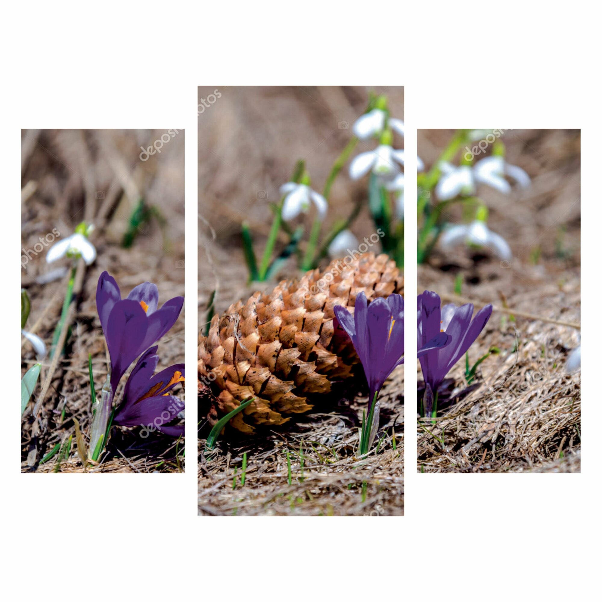 Модульная картина "Подснежники 1" (Размер:130х100см (38х80,48х100,38х80))