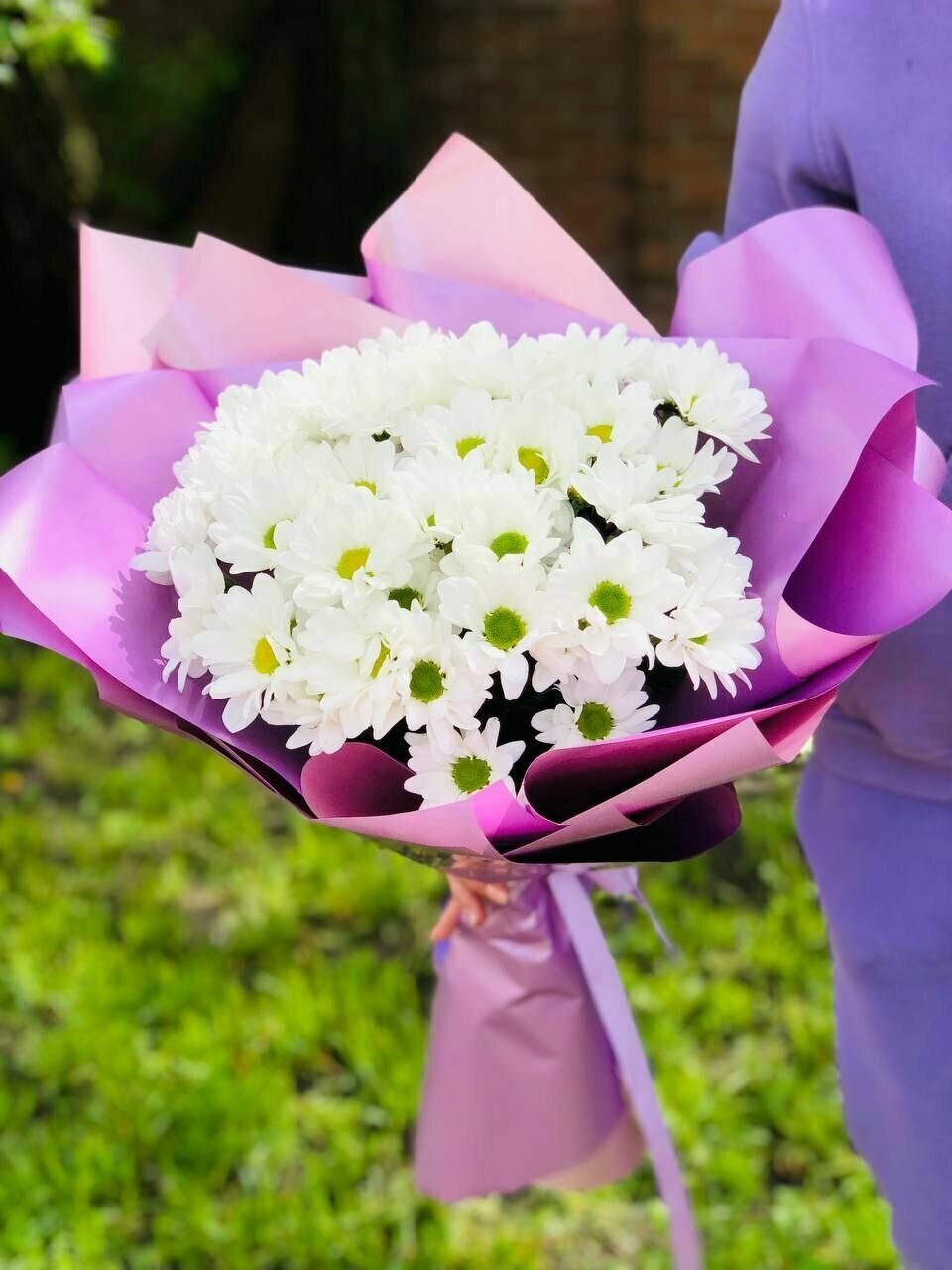 Букет ромашек. 5 белых хризантем