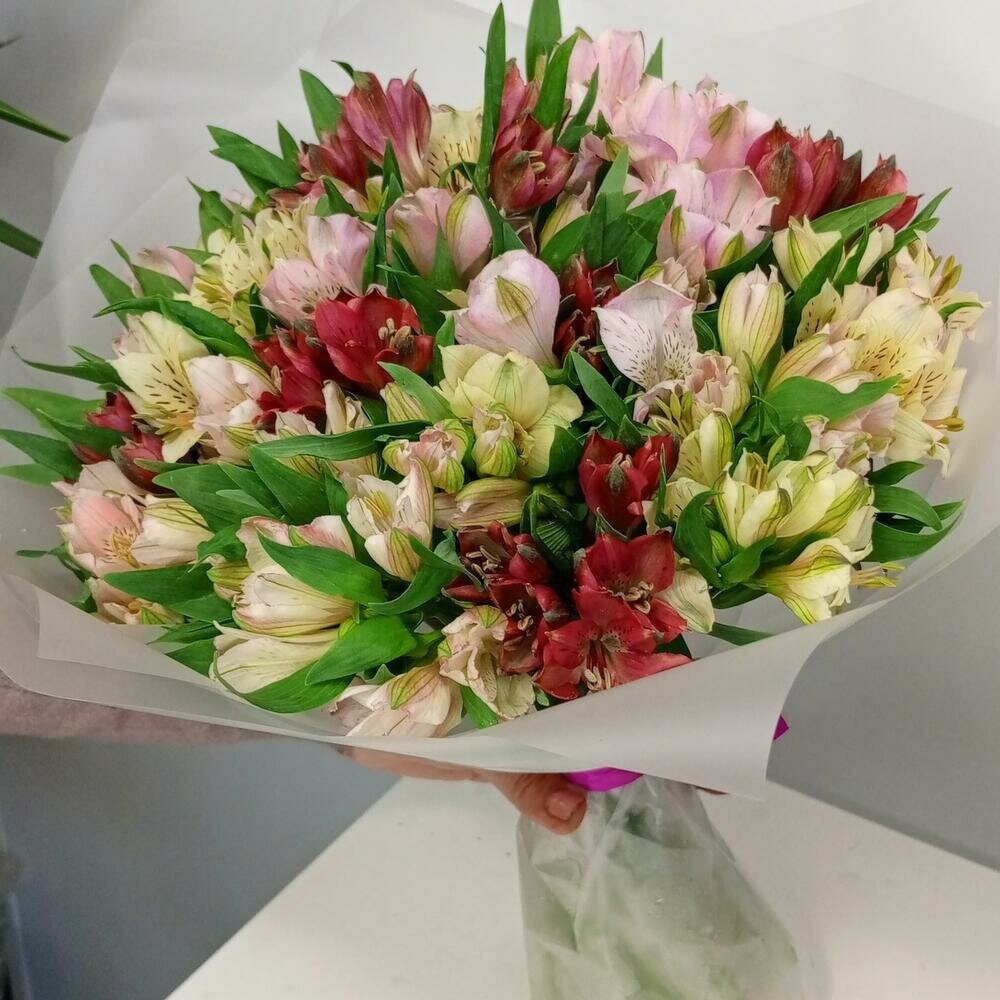 Монобукет Flowers24, альстромерия, 25 штук, круглый, высота 35см
