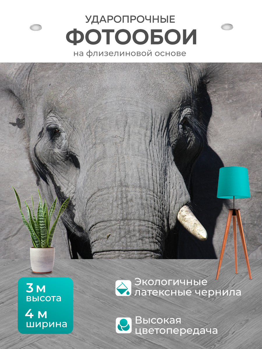 Фотообои моющиеся ударопрочные "Слон, африка, африканский слон" 400x300 см. флизелиновые на стену